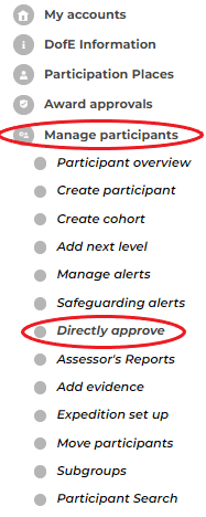'Directly Approve' screen – DofE